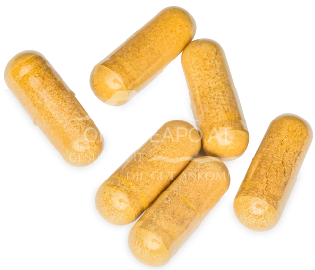 Burgerstein Curcuma-Komplex Kapseln | schnell günstig geliefert